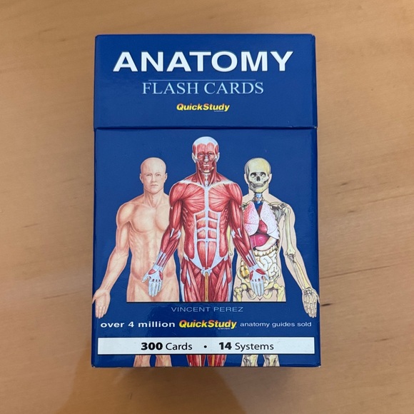 Other | Anatomy Flash Cards By Vincent Perez | Poshmark